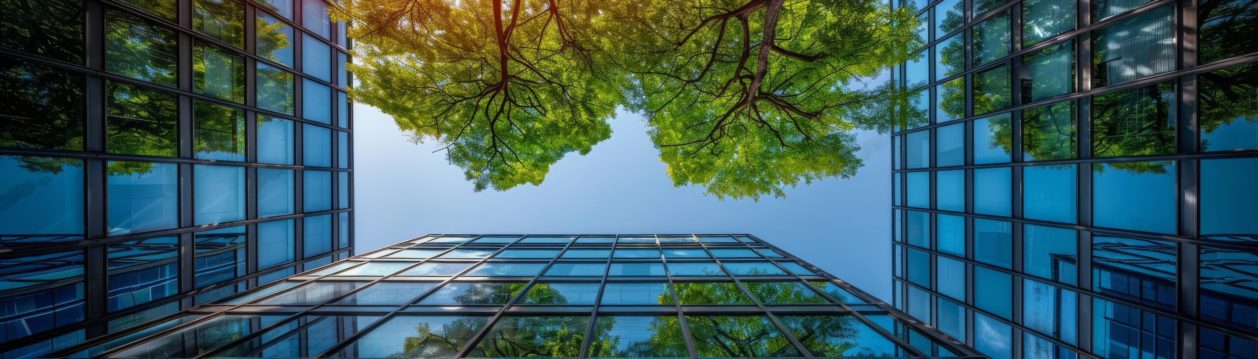 HVAC Collective Ambient Releases 2024 Sustainability Report – APA HVAC ...